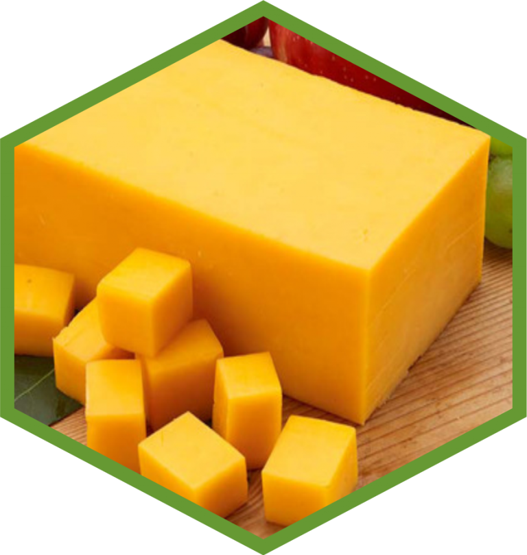 Gusto Dairy | Dairy products cheese feta, white, yellow, analogue, whey