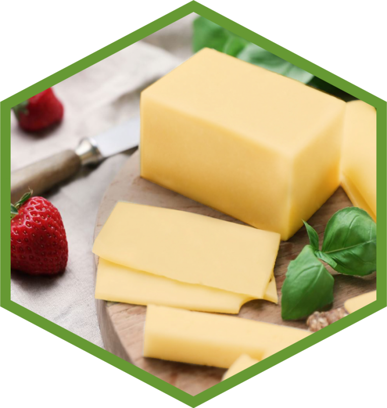 Gusto Dairy | Dairy products cheese feta, white, yellow, analogue, whey