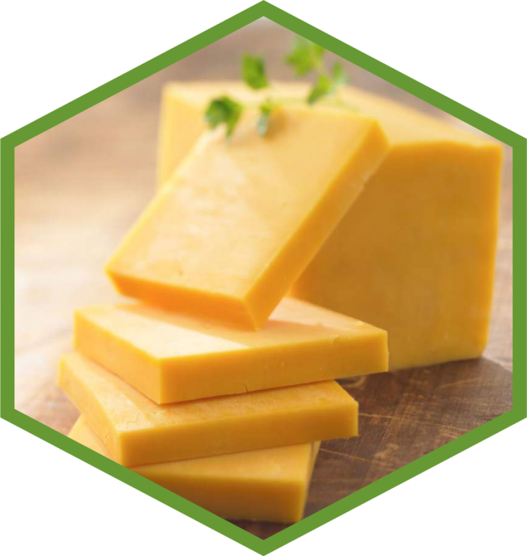 Gusto Dairy | Dairy products cheese feta, white, yellow, analogue, whey